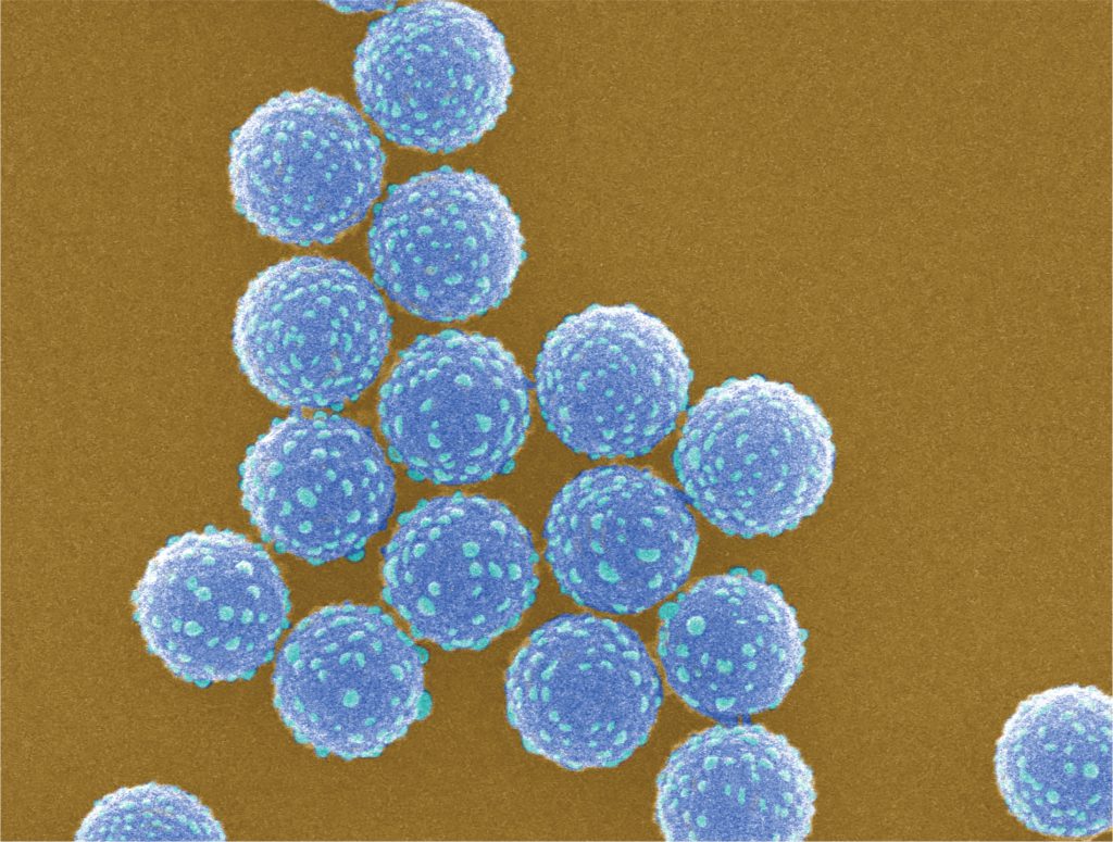 Publications – Dullens Lab